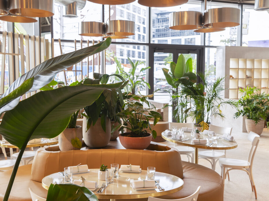 La Signature Point Physique – AMILCAR MAGAZINE GROUP